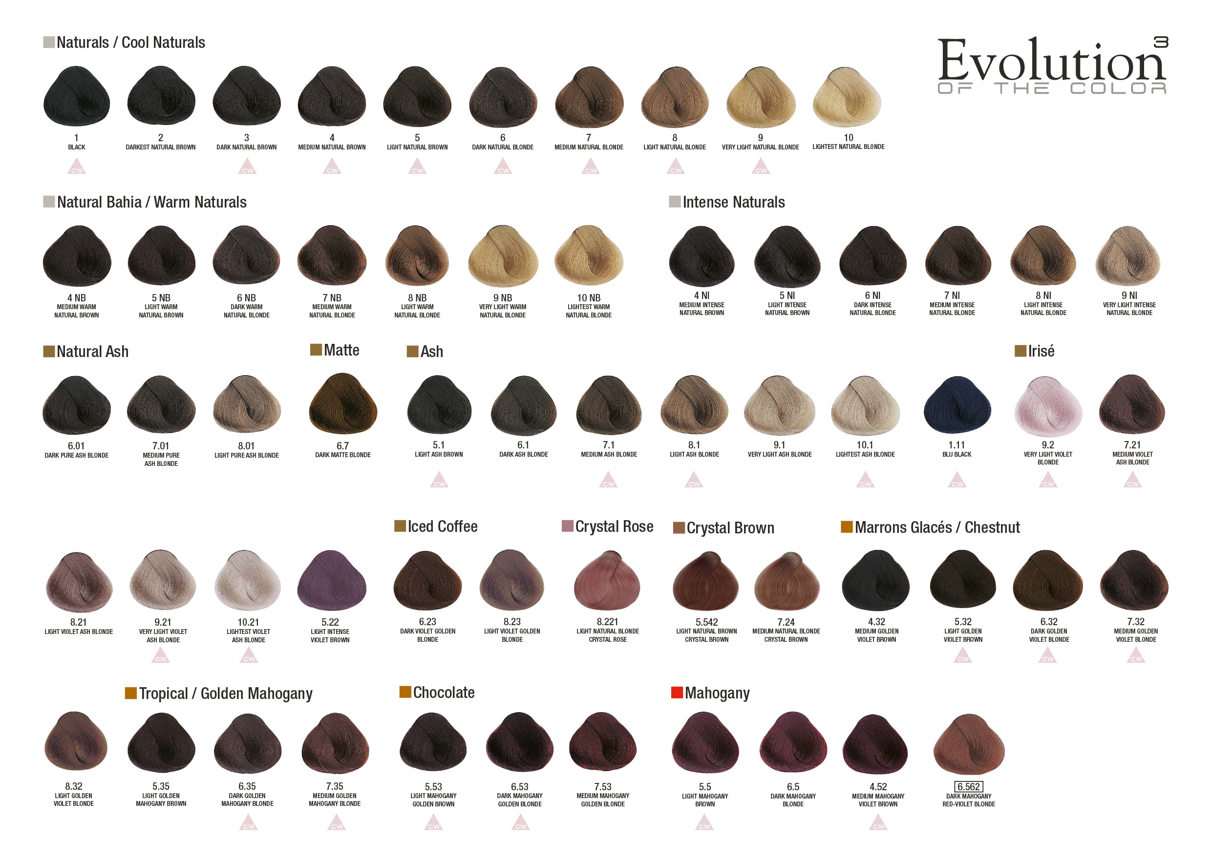 Evolution Of The Color Color Cream - Passion Trading